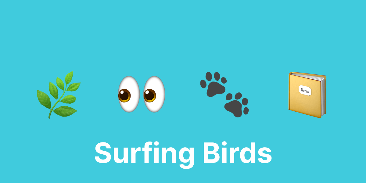 Práticas de ética na observação de animais selvagens: Guia completo ...